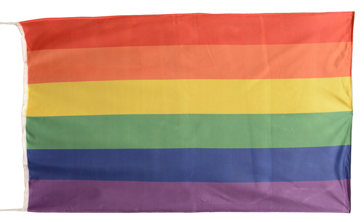 LGBT Lesbian Gay Pride Landscape Flag / Banner 5 X 3 Ft (150 x 90 cm ...
