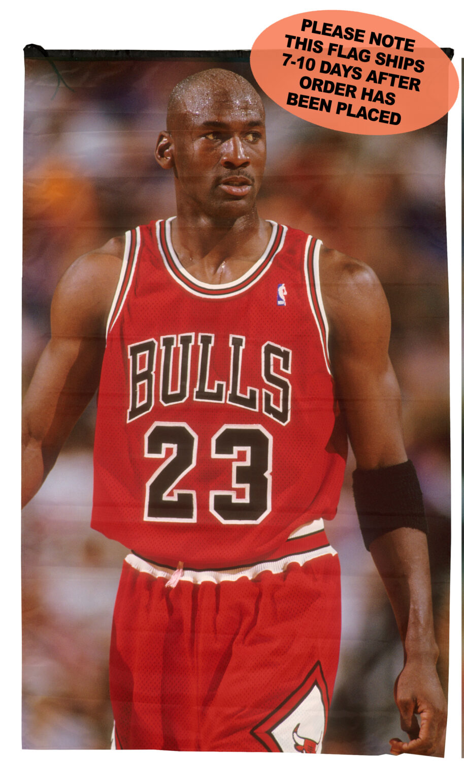 Michael Jordan Chicago Bulls Vertical Flag / Banner 5 X 3 Ft (150 X 90 ...
